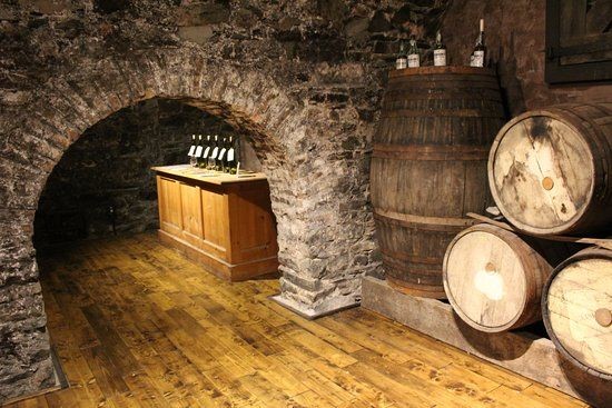 Embark on a Culinary Adventure in St. John's - Bite Size